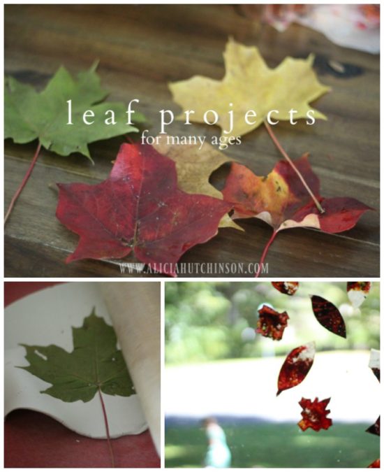 FALL LEAF PROJECTS FOR MANY AGES - Living Well + Learning Well