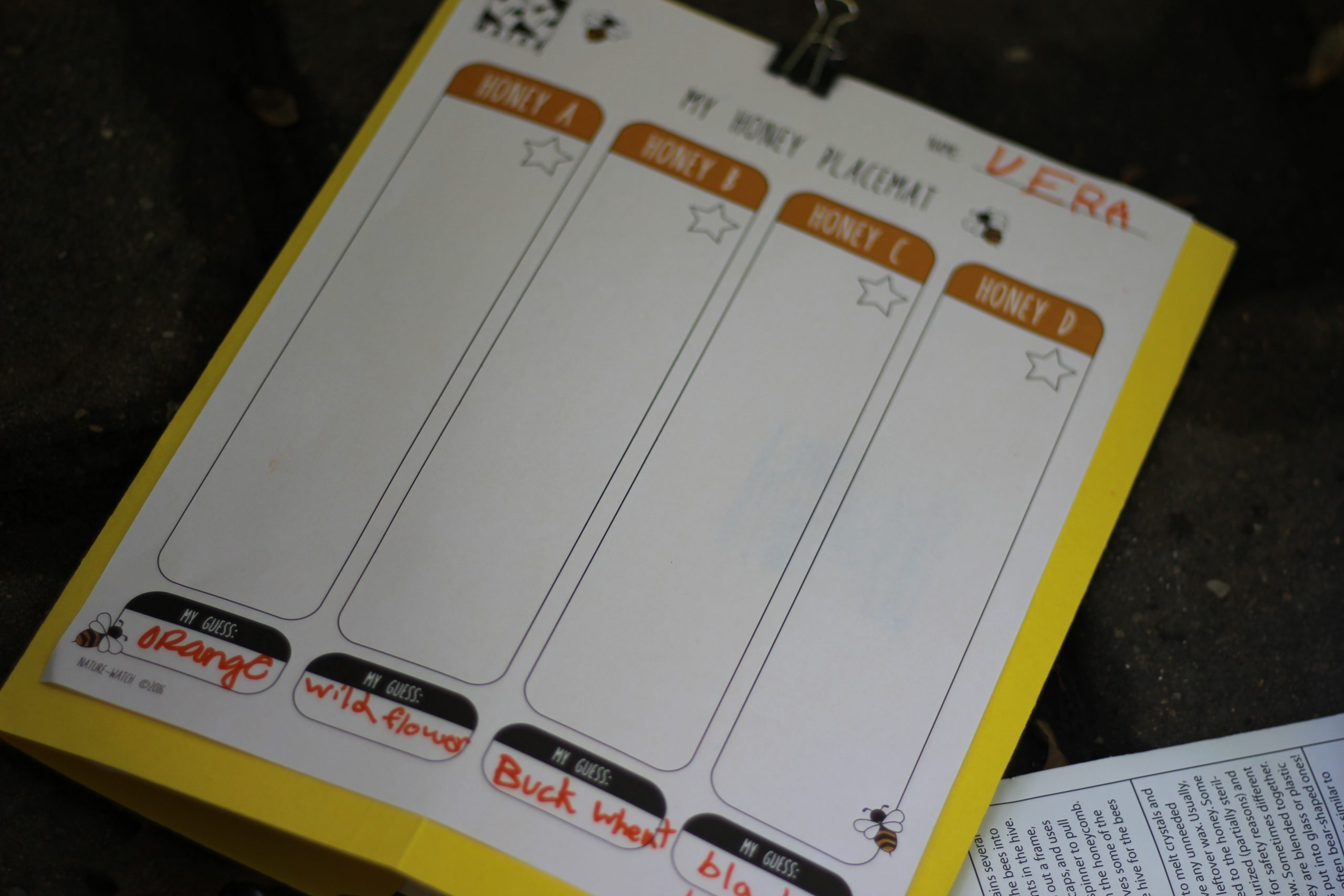 How to Plan a Simple Bee Unit Study for Your Kids - Living Well ...