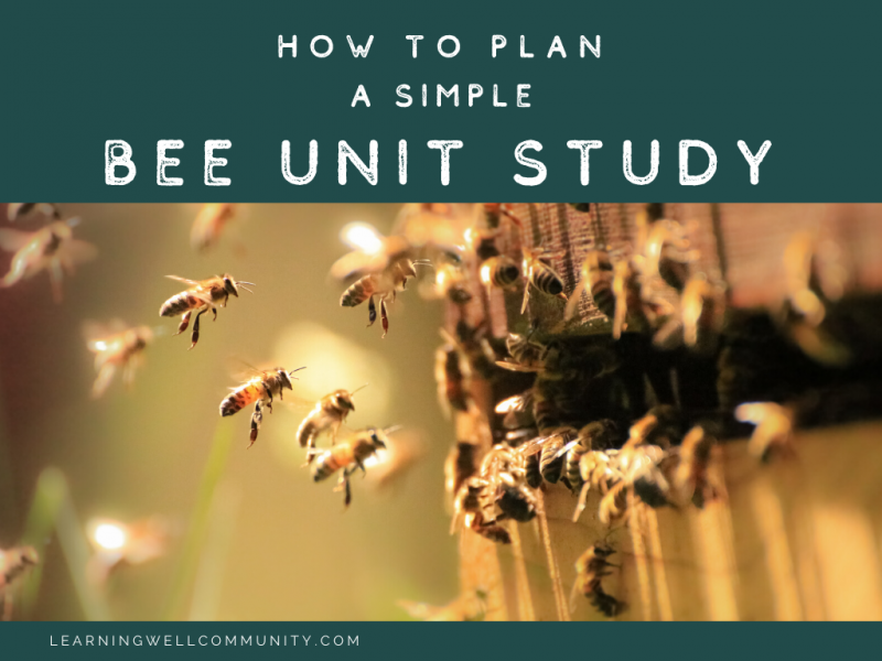 How to Plan a Simple Bee Unit Study for Your Kids - Living Well ...