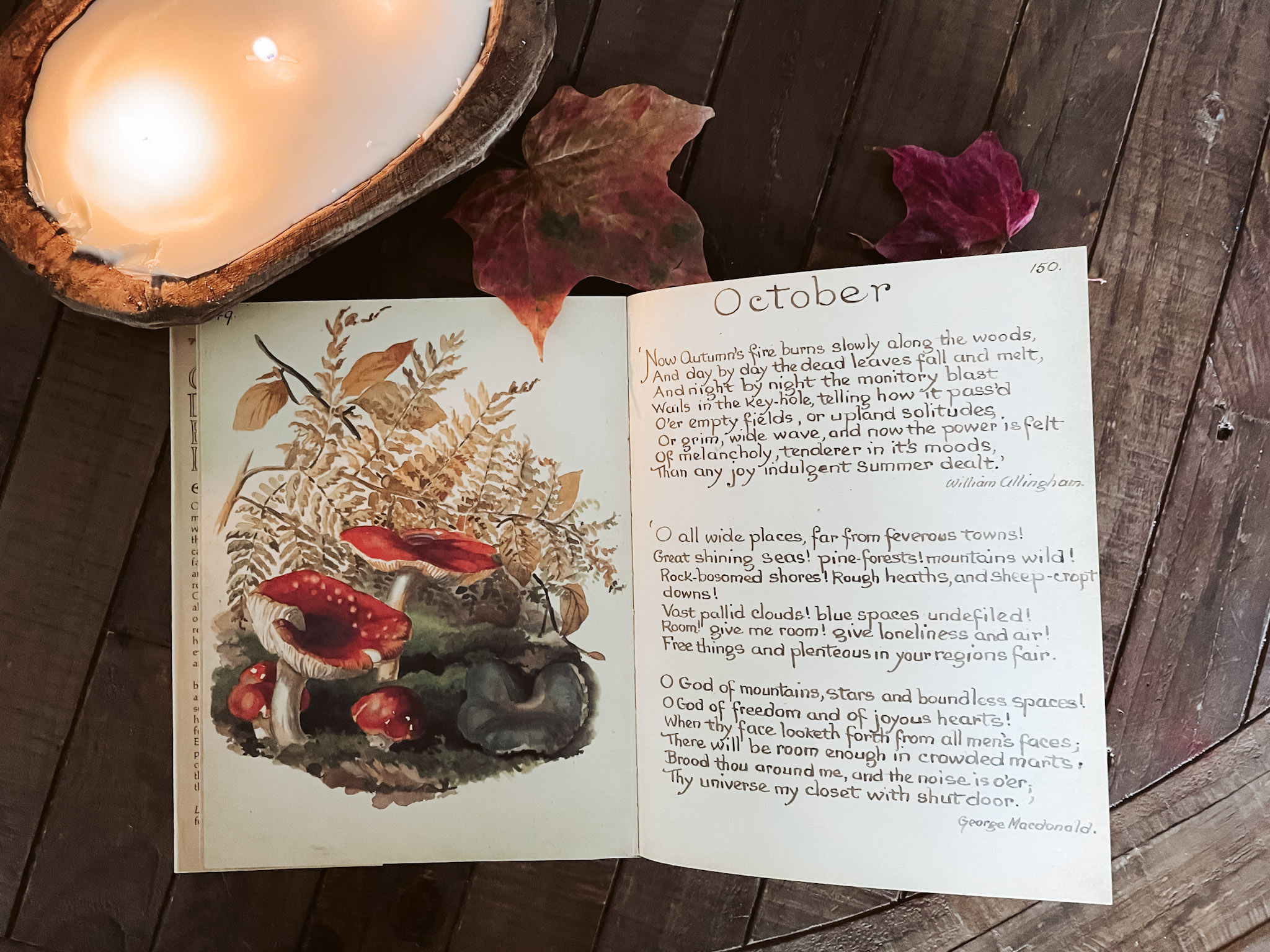 October + November Rundown! - Living Well + Learning Well