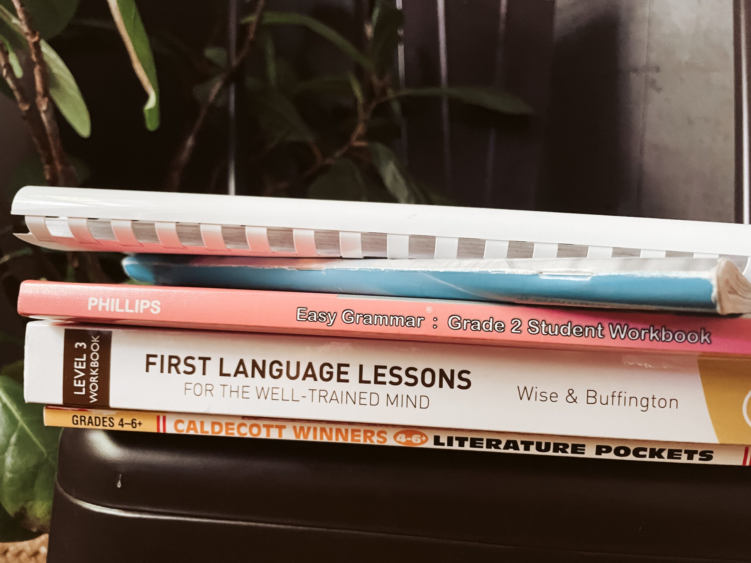 NEW CURRICULUM PICKS for 11th, 9th, and 4th Grades - Learning Well